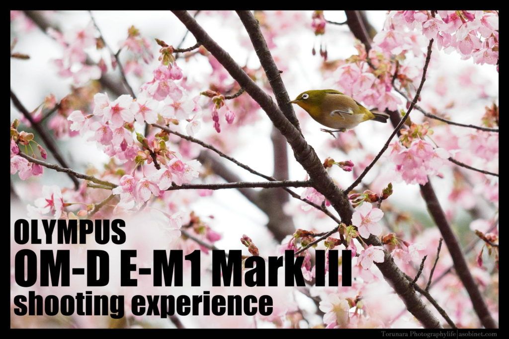 オリンパス OM-D E-M1 Mark III 徹底レビュー【撮影体験 Part2 編】 - とるなら