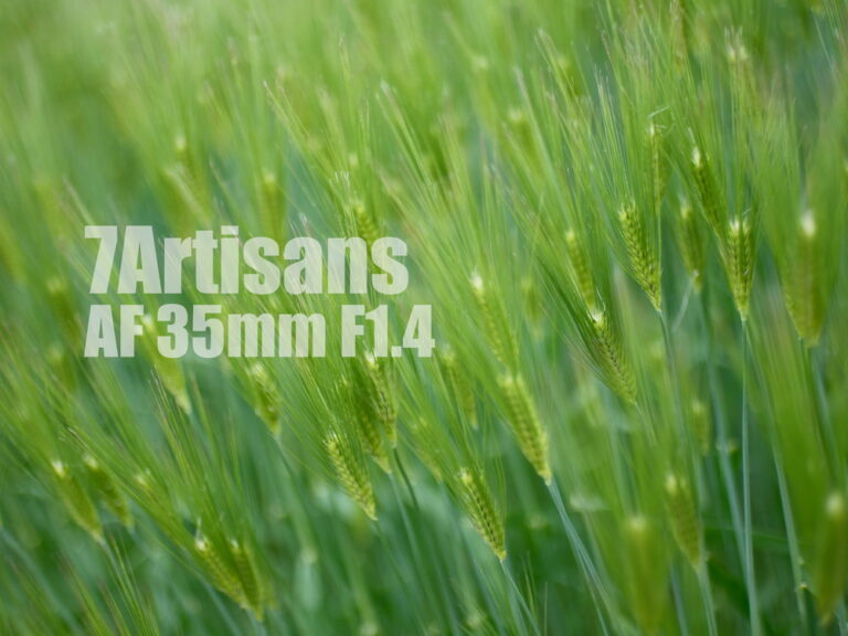 7Artisans AF 35mm F1.4 レンズレビュー完全版 - とるなら