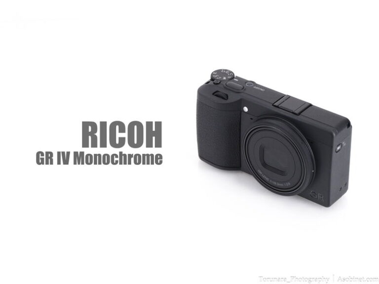 GR IV Monochrome Review - とるなら